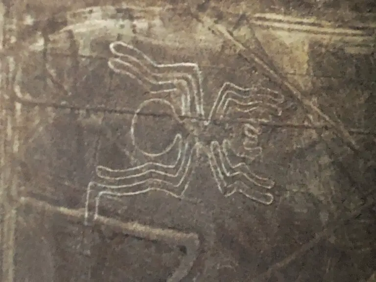 Nazca Lines Flight: A CONDOR, A HUMMINGBIRD AND A PARROT