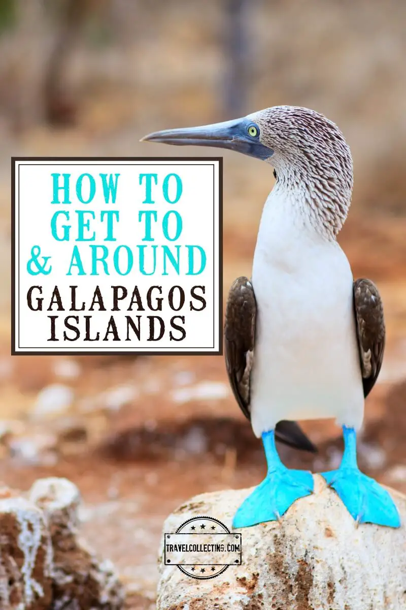 How To Get To Galapagos Islands | How To Get Around Galapagos Islands